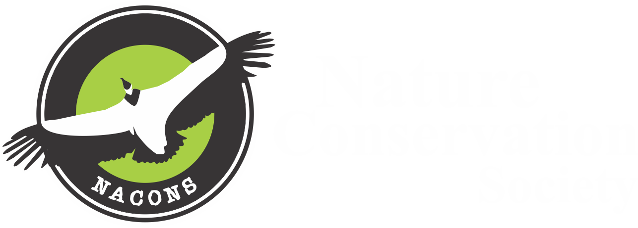 Our Team - Nacons